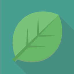 「common in japanese」の検索結果│旅する応用言語学